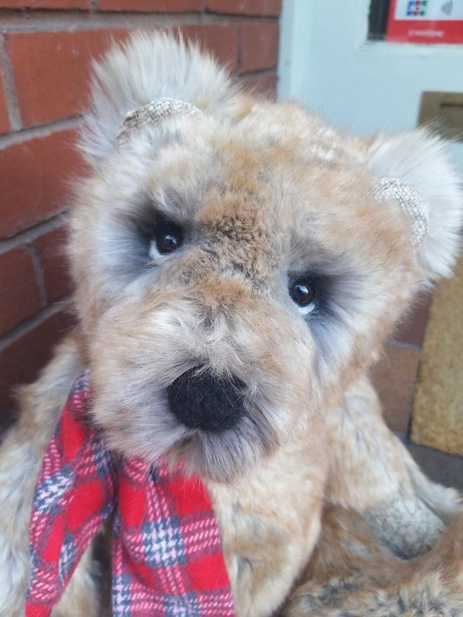 Home [www.burmanbears.com]